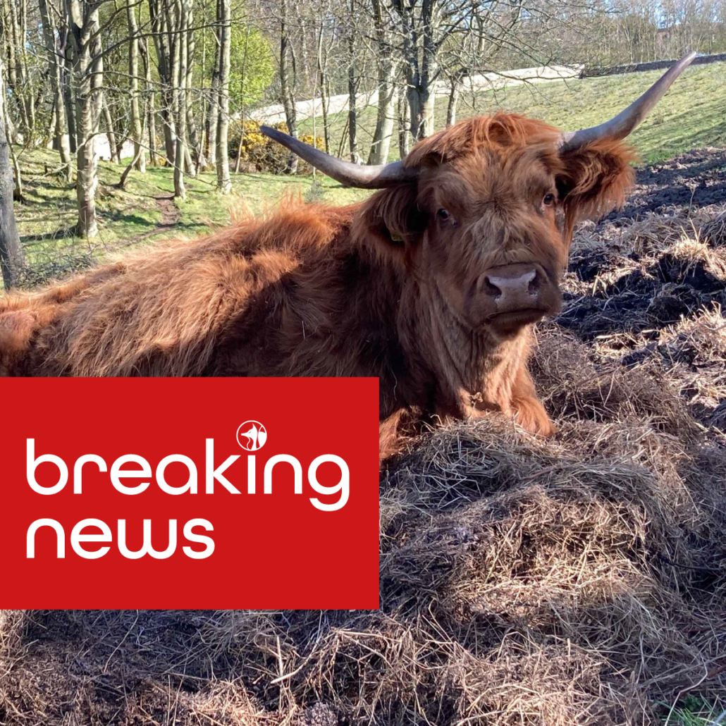 Nature tours launch for sustainability focused wedding venue Kinkell ...