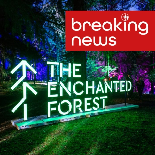 The Enchanted Forest releases 2024 tickets • We Are Cunningly Good