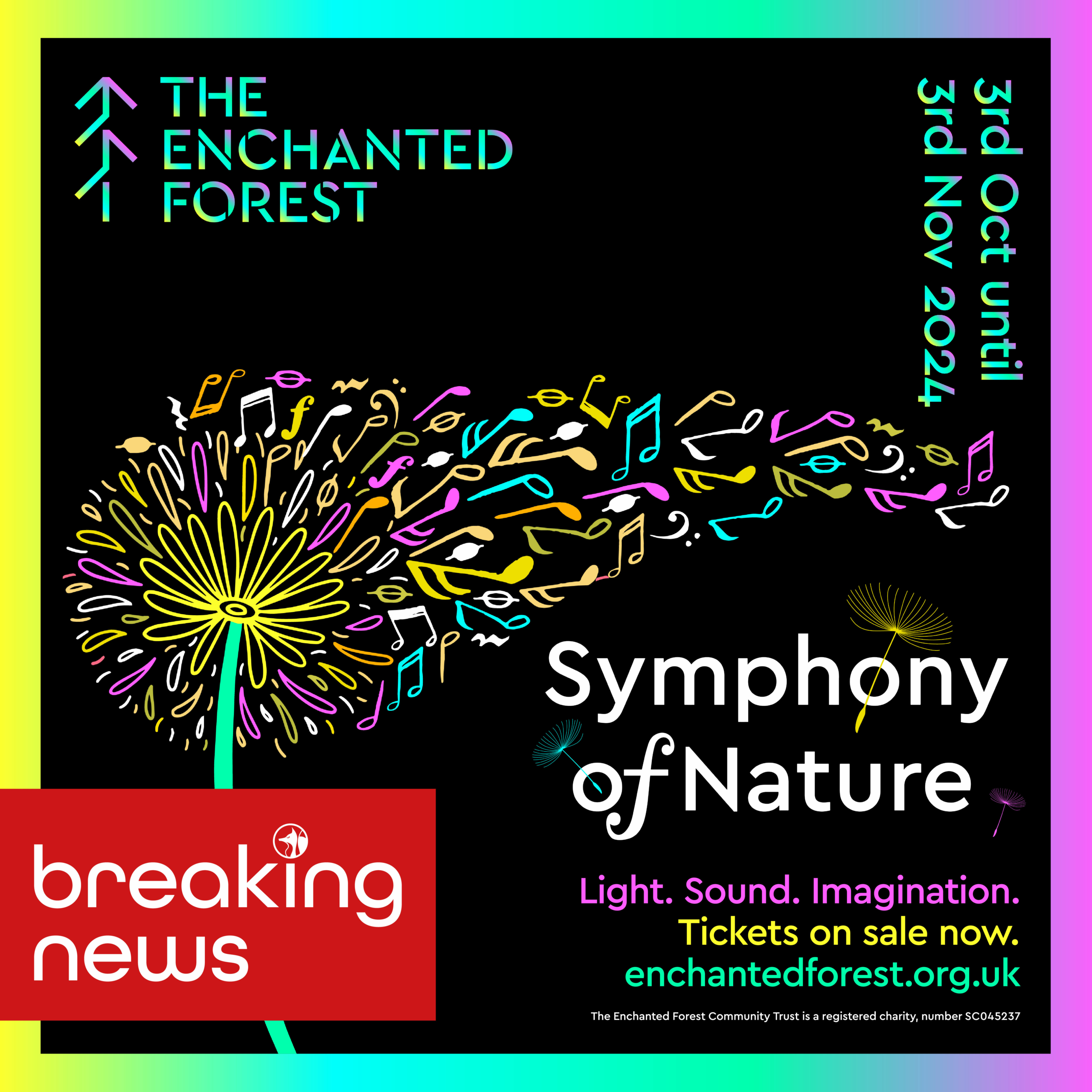 Enchanted Forest Logo Enchanted Forest Of Light